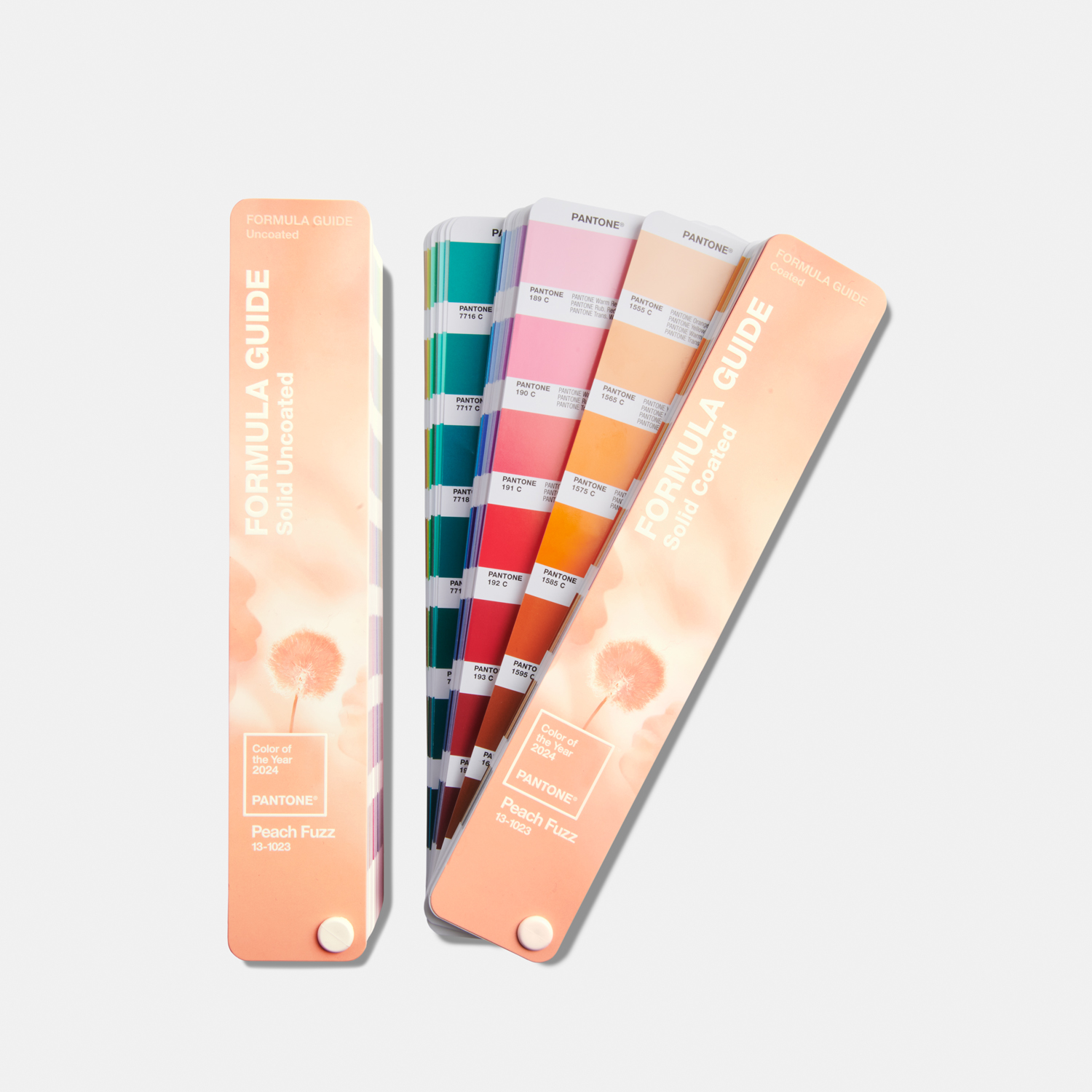 Cor do Ano 2024 - Pantone