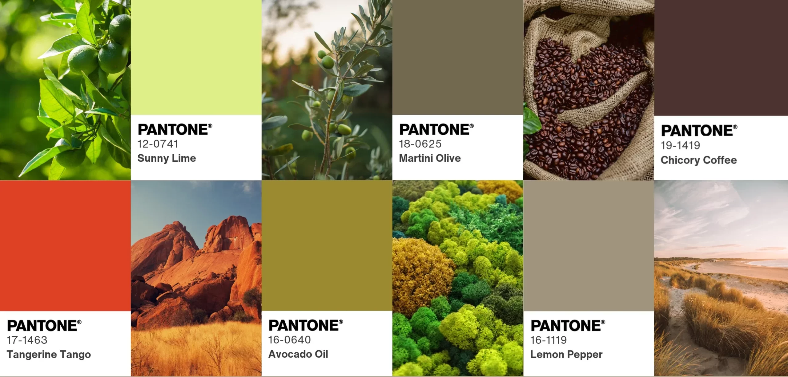Celebrando Nosso Planeta Colorido - Pantone